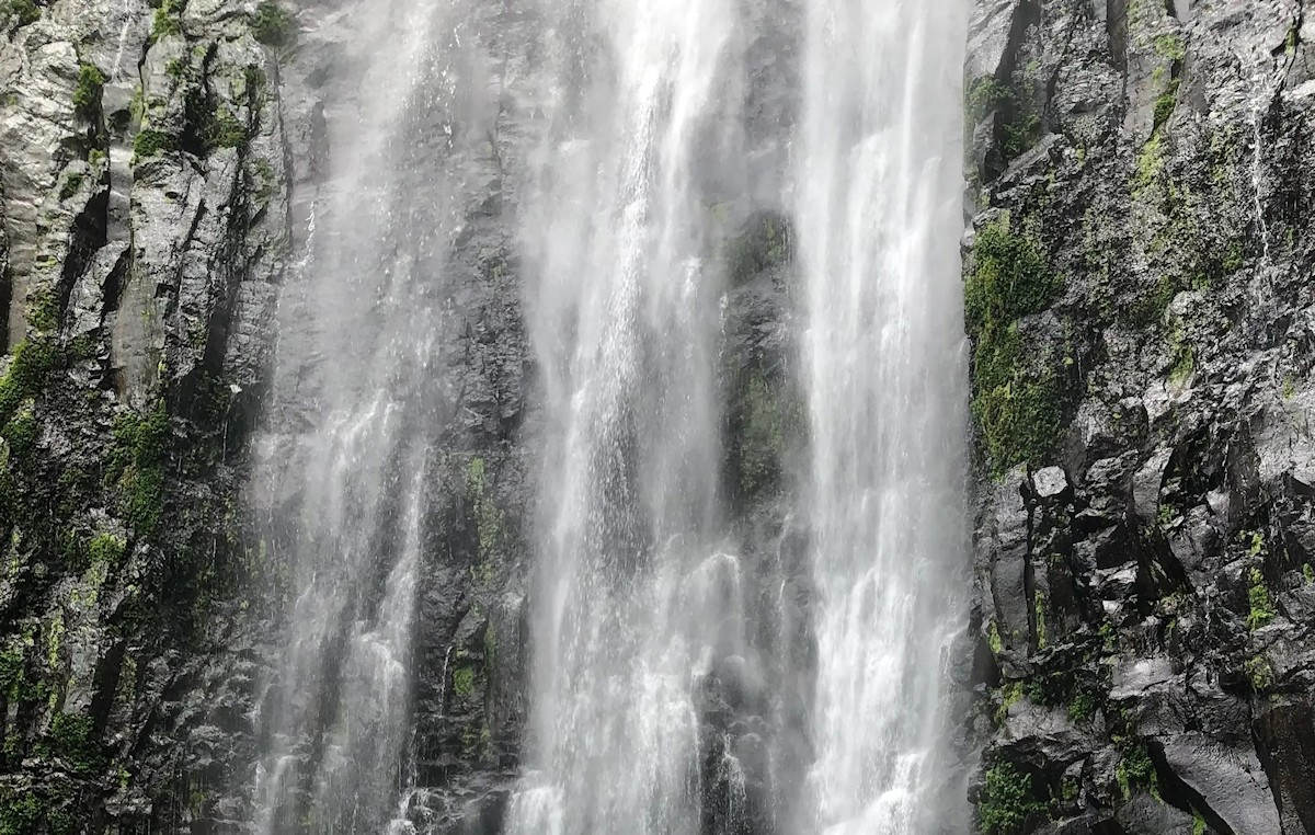 Day Tour to Materuni Waterfalls | DeMi Tours & Travel